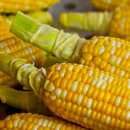 Propiedades y beneficios del elote: Siete datos que no conocías